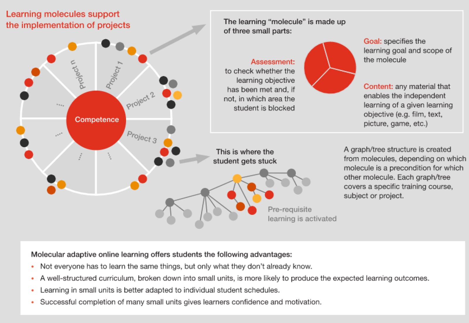 Curriculum transformation | Higher education